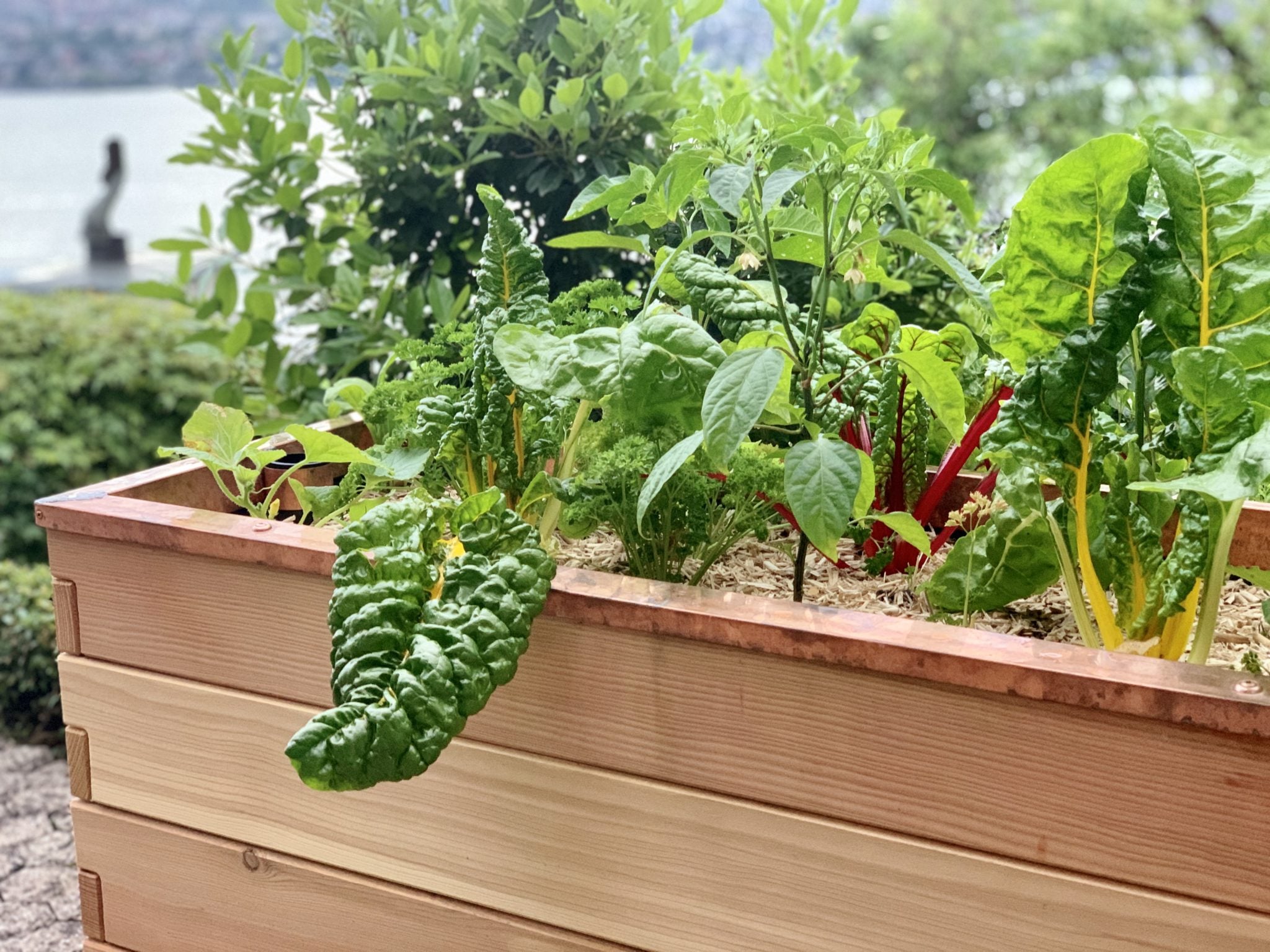 Hochbeet mit Wasserspeicher | Geniessen ohne Giessen